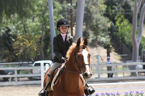 Lisa Headley Training Stable on EquineNow