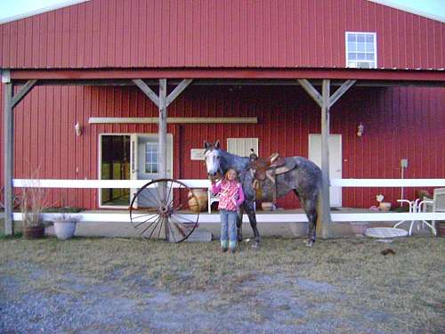 Lazy K Ranch on EquineNow