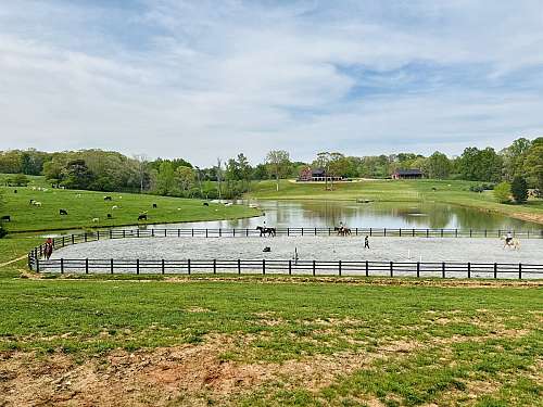 Blackrock Equestrian on EquineNow