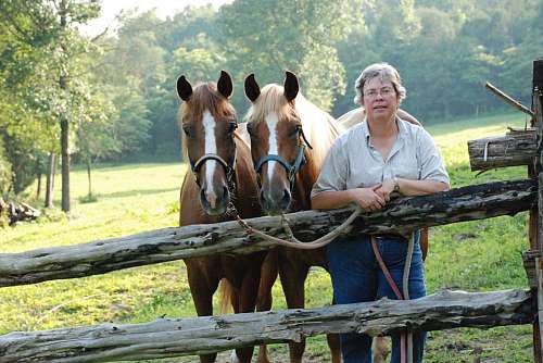 Culp Farm on EquineNow