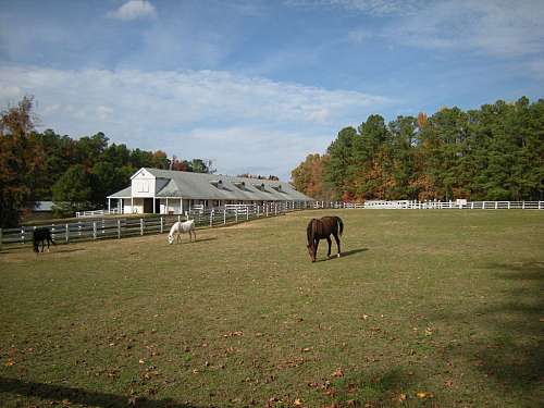 Castle French Farm on EquineNow