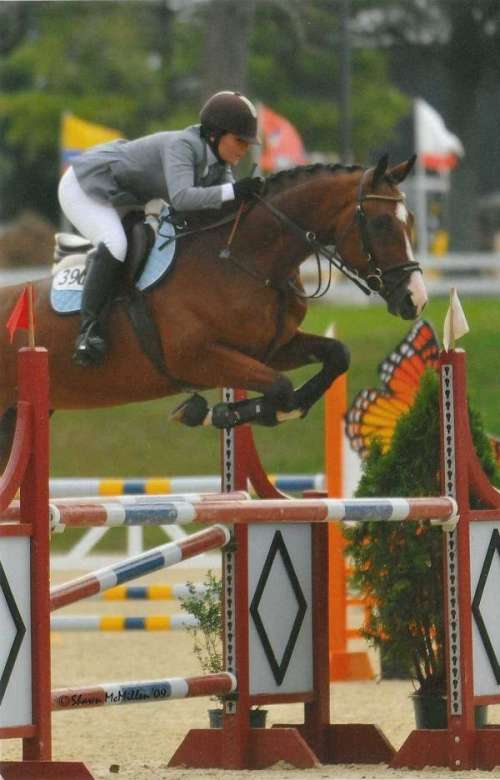 Confederate Park Farm on EquineNow