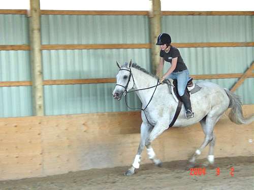 HORSE COTTAGE STABLES on EquineNow