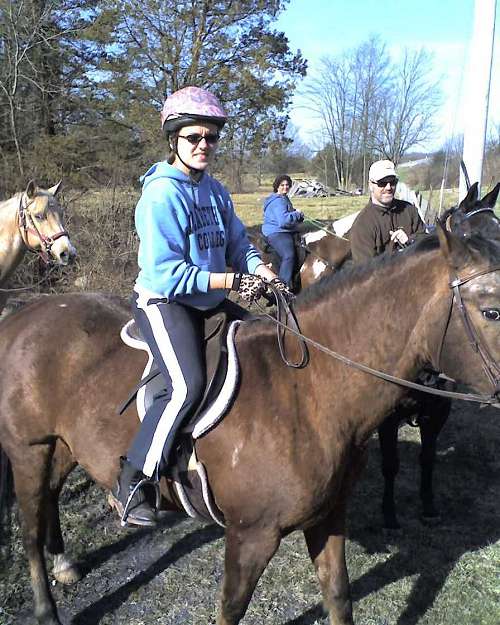 Double D Stables on EquineNow