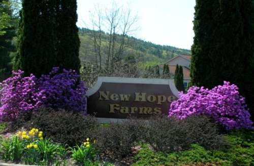 New Hope Farms Inc. on EquineNow