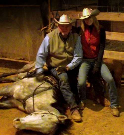 ROCKIN C COLT CO on EquineNow