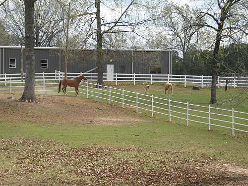 Broken Bone Ranch on EquineNow