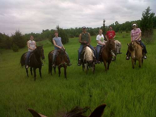 S S Stables LLC on EquineNow