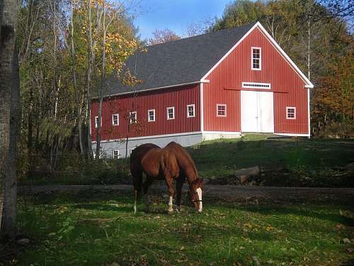 Stone Wall Stables on EquineNow