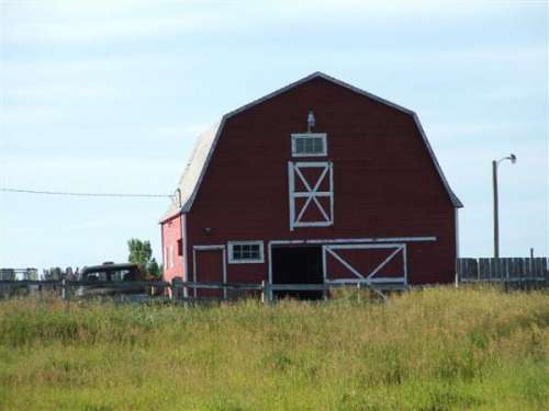 Scion Farms on EquineNow