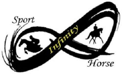 Infinity Sport Horse on EquineNow