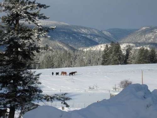 Lone Pine Ranch on EquineNow