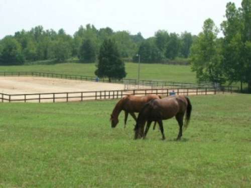 Sugar Hill Farm on EquineNow