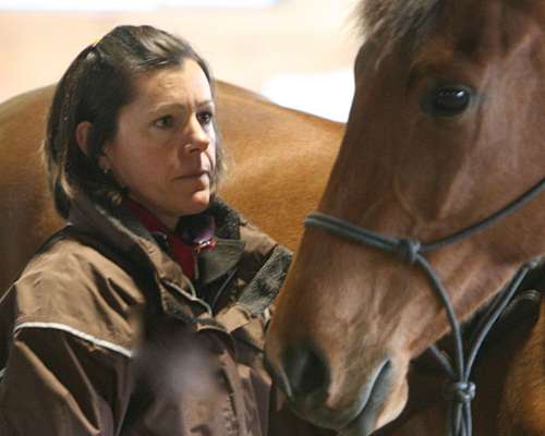 Sarah Sheehy Training & Horsemanship on EquineNow