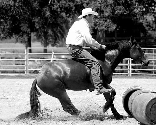 Double C Ranch on EquineNow