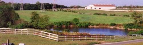 Paddock Place Equestrian Center on EquineNow