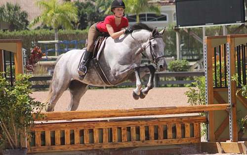 Clear Round Stables on EquineNow