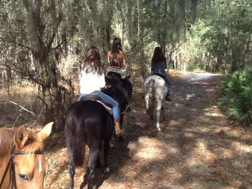 Red Fox Stables on EquineNow