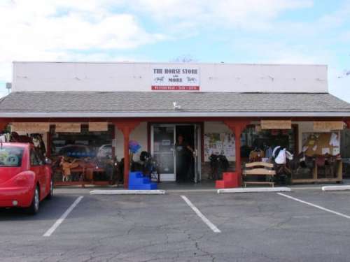 THE HORSE STORE AND MORE on EquineNow