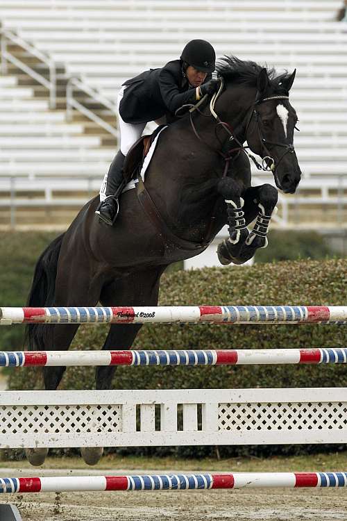 Narnia Farm, Inc. on EquineNow