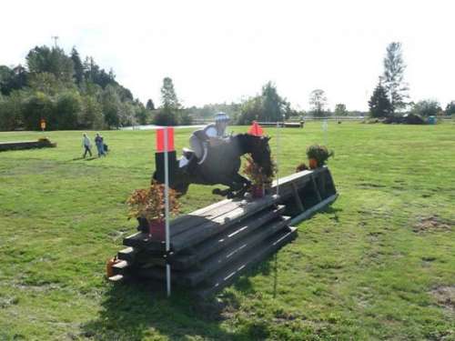 Flying C Farm on EquineNow