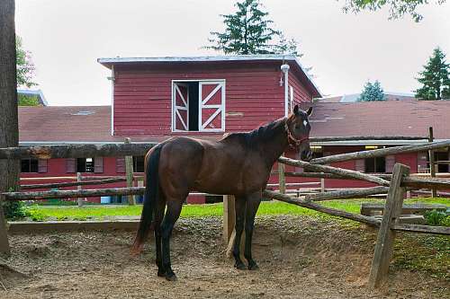 Solly Stables on EquineNow