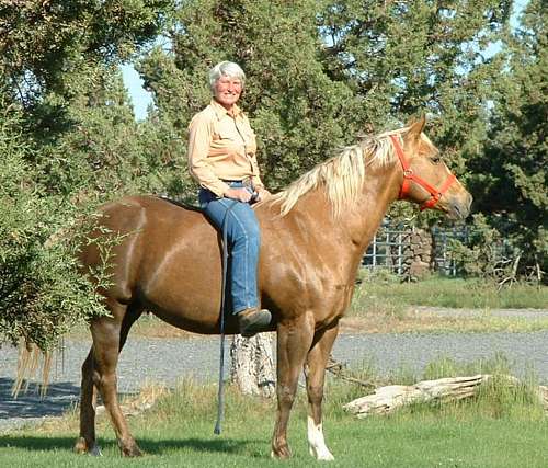 Painted Desert Farm on EquineNow