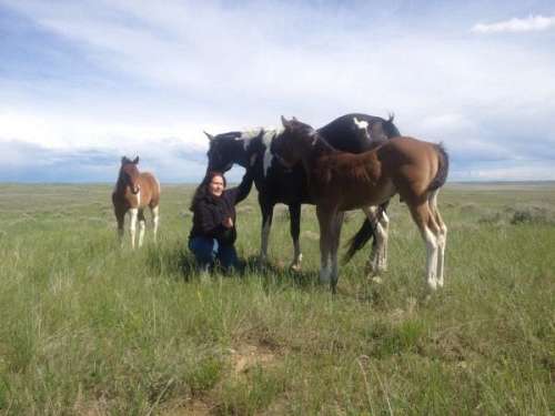 Eaton Ranch on EquineNow