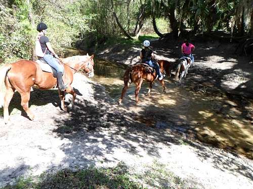 Windsong Farm Summer horse camp lessons Trail ride on EquineNow