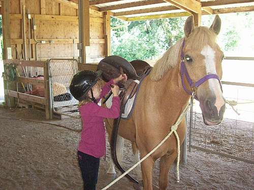Breidablik Farm on EquineNow