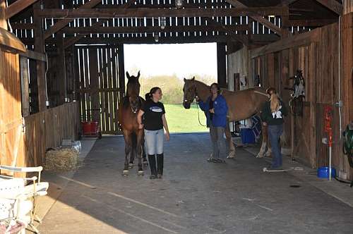 Stable Meadows on EquineNow