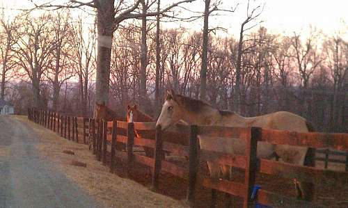 Skyview Stable on EquineNow