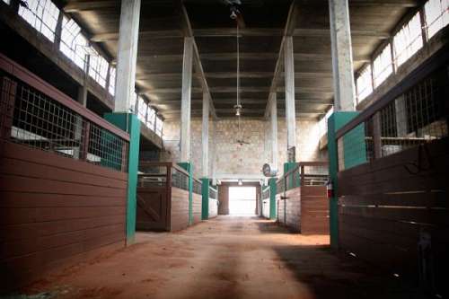 Fort Worth Stockyards Stables and Horseback Riding on EquineNow