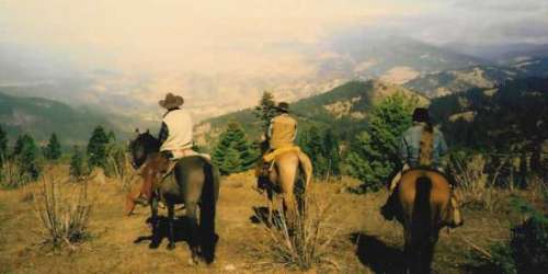 Circle S Ranch and Outfitters on EquineNow