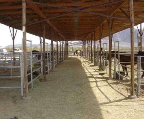 Willow Chance Ranch Rescue on EquineNow