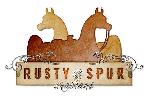 Rusty Spur Horses on EquineNow
