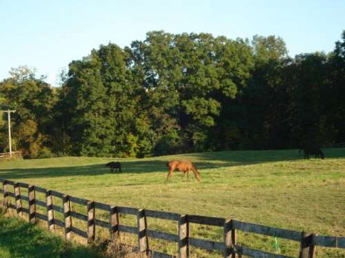 JND Stables on EquineNow
