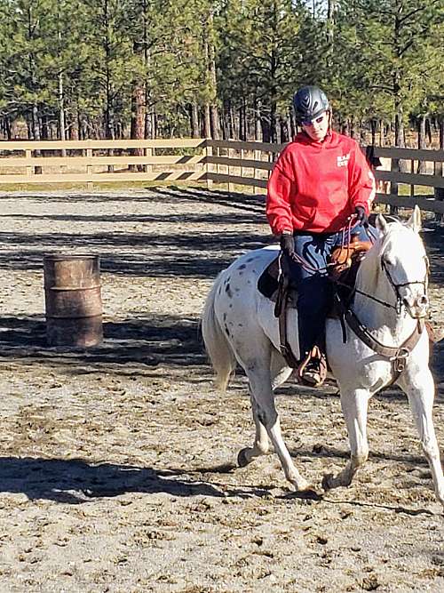 Infinity Arrow Farms on EquineNow