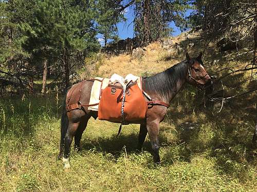 Valentine Ranch on EquineNow