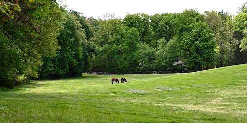 Horse Farm For SaleLease in Manakin-Sabot VA on EquineNow