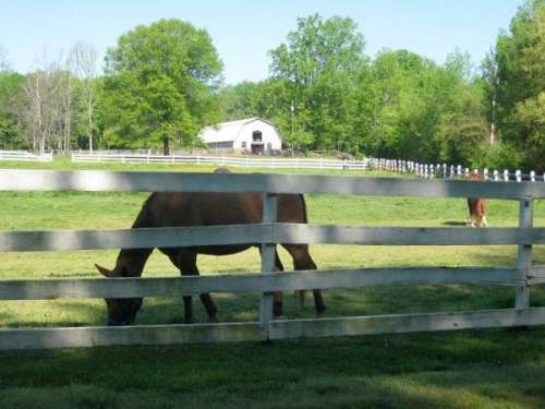 Stone Brook Stables on EquineNow