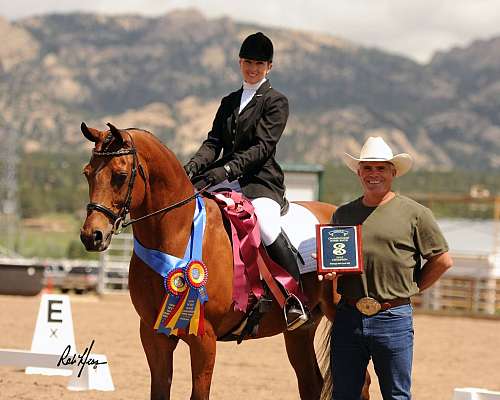 Platinum Performance Horses on EquineNow