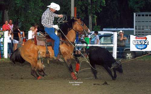 Triple H Ranch on EquineNow