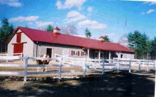 Balmy Acres Paints on EquineNow