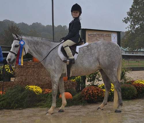 Irish Eyes Stables, LLC on EquineNow