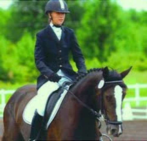 Elite Stables on EquineNow