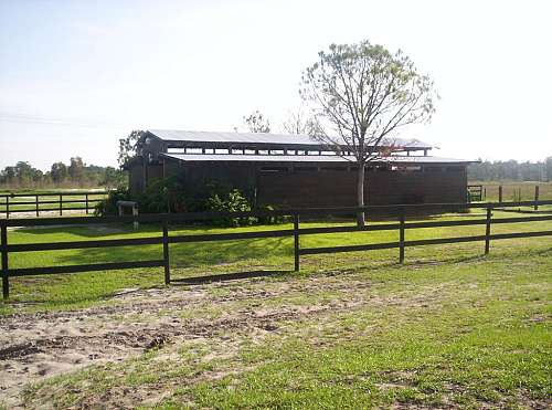 Lopez Ranch aka Scorpian Performance Horses on EquineNow