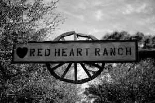 RED HEART RANCH on EquineNow