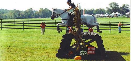 Windswept Stables Training Facility on EquineNow
