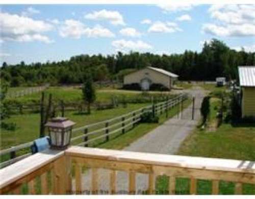 Sable Baron Farms on EquineNow